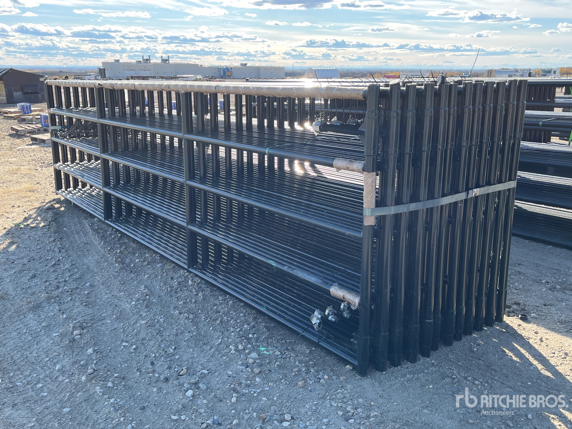 Quantity of (24) 2024 BYT RG16 16 ft x 4 ft Ranch Livestock Gate ...