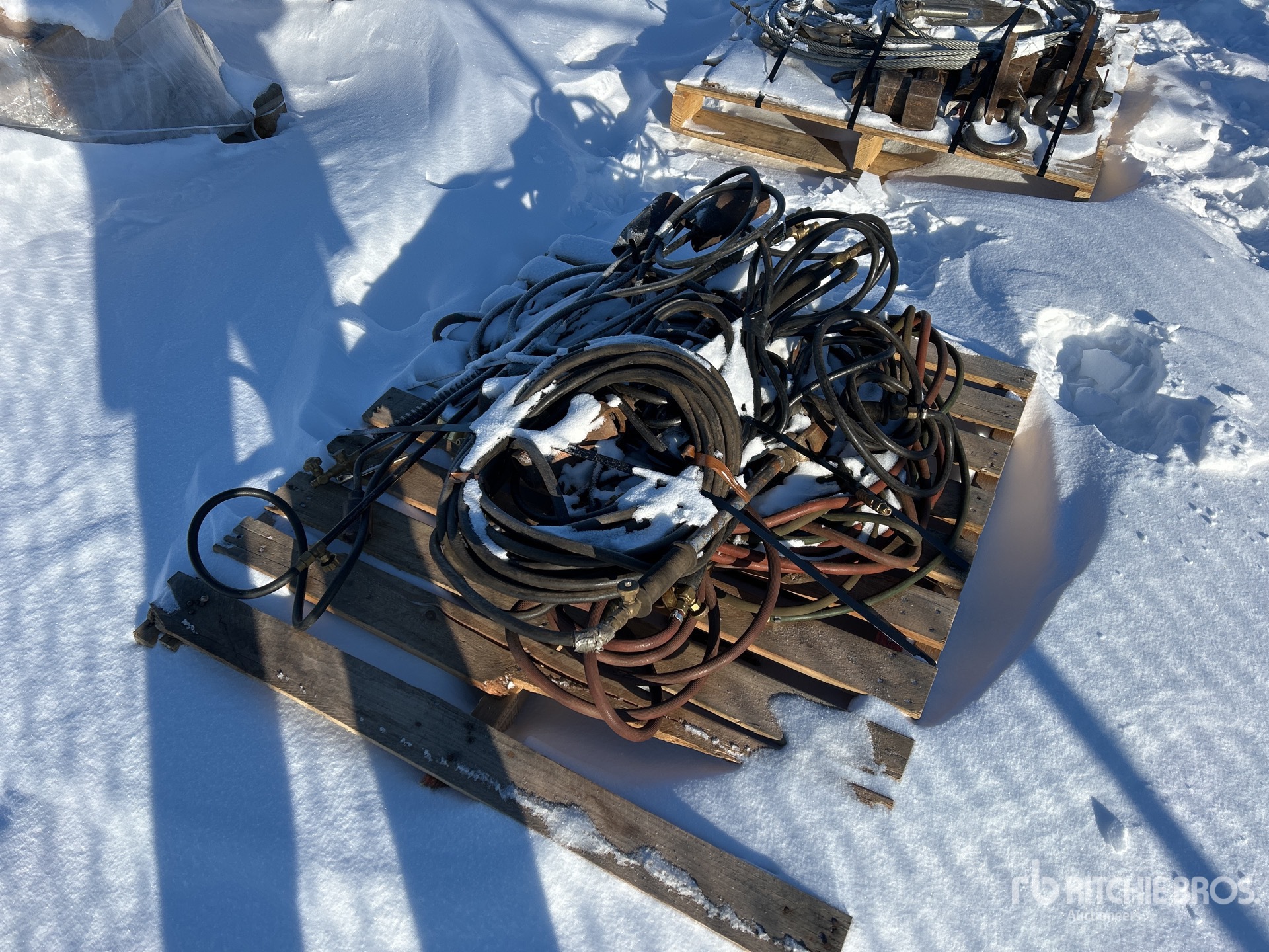 Quantity of Tiger Torch | Ritchie Bros. Auctioneers